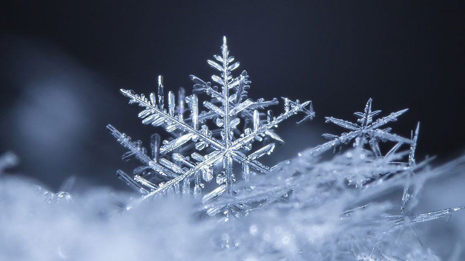 Are No Two Snow Flakes Alike? The Science Behind Winter's Tiny Wonders ...