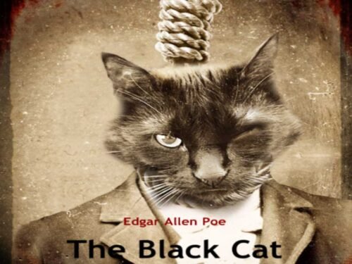 The Black Cat Edgar Allan Poe: Summary, Themes, and Literary Analysis ...